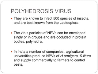 Microbial control of_crop_pest_by_employing_viruses | PPTX