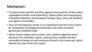 Microbial control of insect pests | PPTX