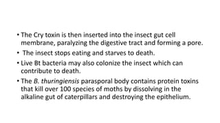 Microbial control of insect pests | PPTX