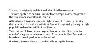 Microbial control of insect pests | PPTX