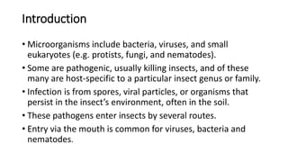 Microbial control of insect pests | PPTX