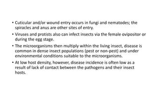 Microbial control of insect pests | PPTX