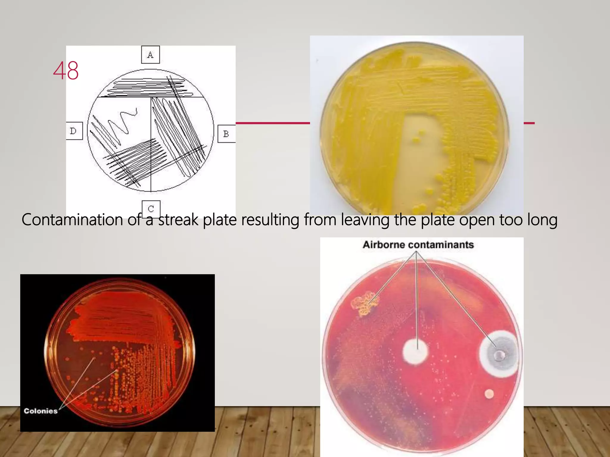 Microbial cultivation- Pharmaceutical Microbiology | PPTX