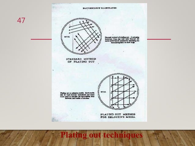 Microbial cultivation- Pharmaceutical Microbiology | PPT