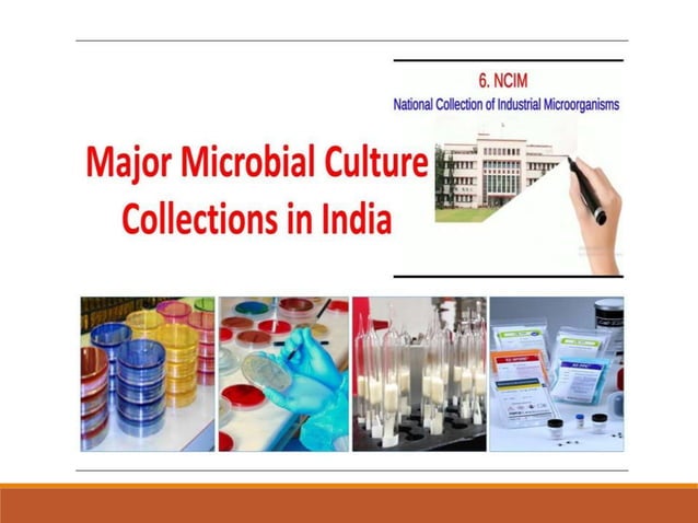 MIcrobial culture collection centres.pptx