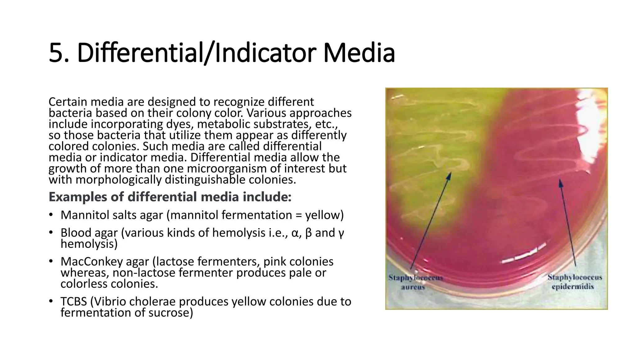 Microbial Culture Media types and examples.pptx