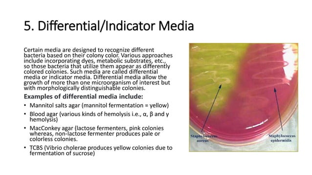 Microbial Culture Media types and examples.pptx
