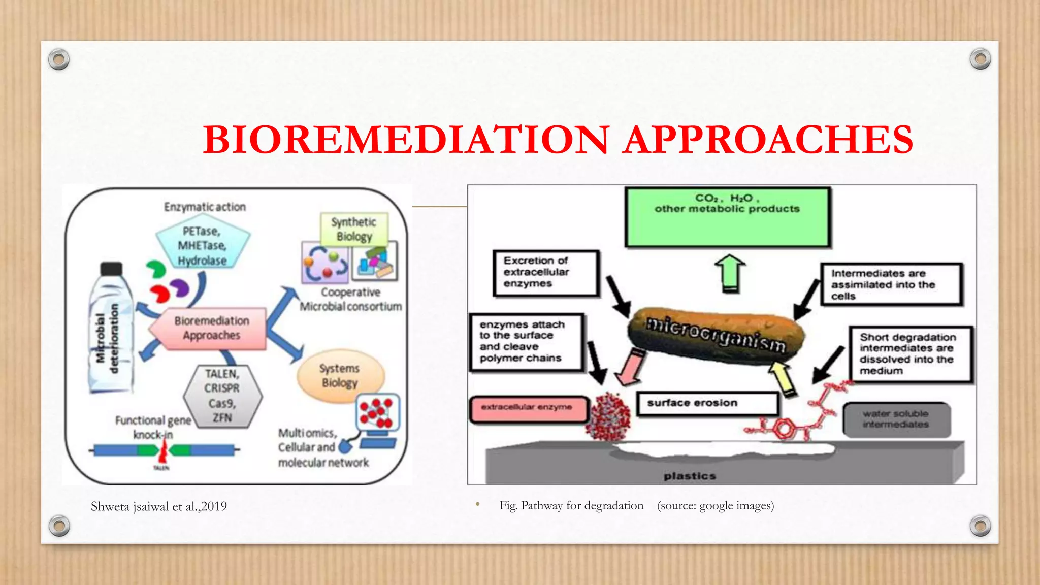 Microbial degradation of plastic | PPTX