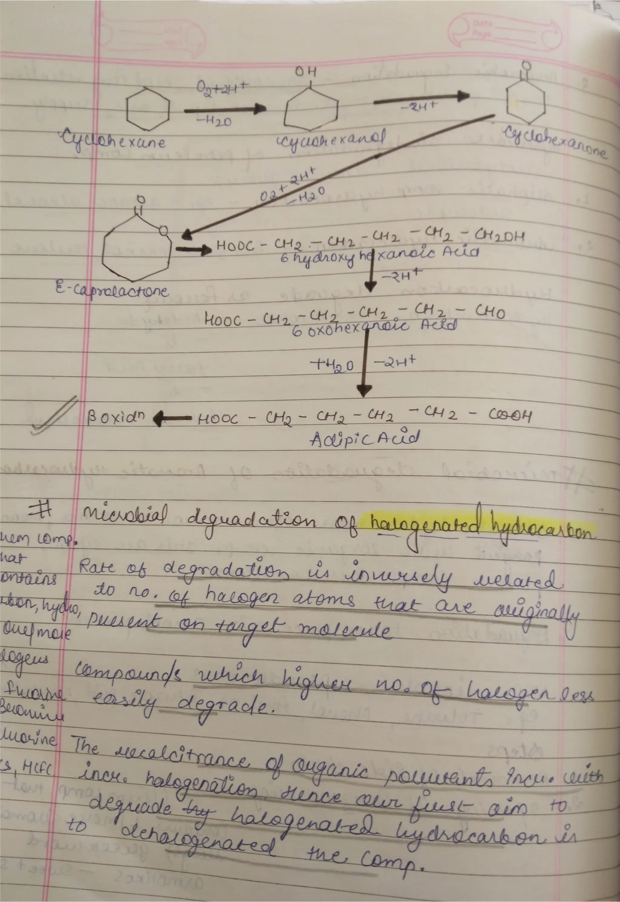 Microbial degradation of aromatic polycyclic nd halogenatd aromatic comp..pdf