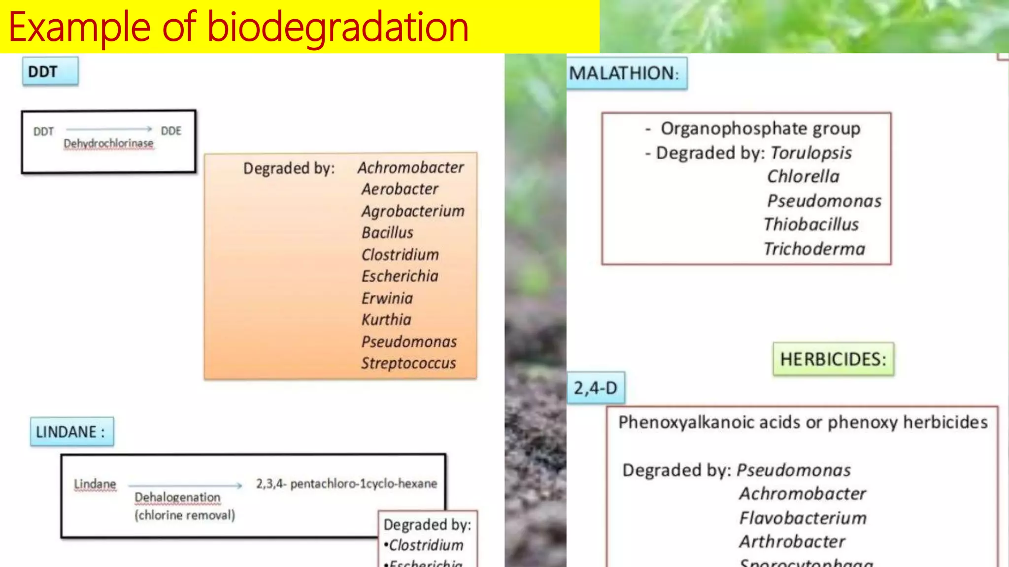 Microbial degradation of pesticides | PPTX