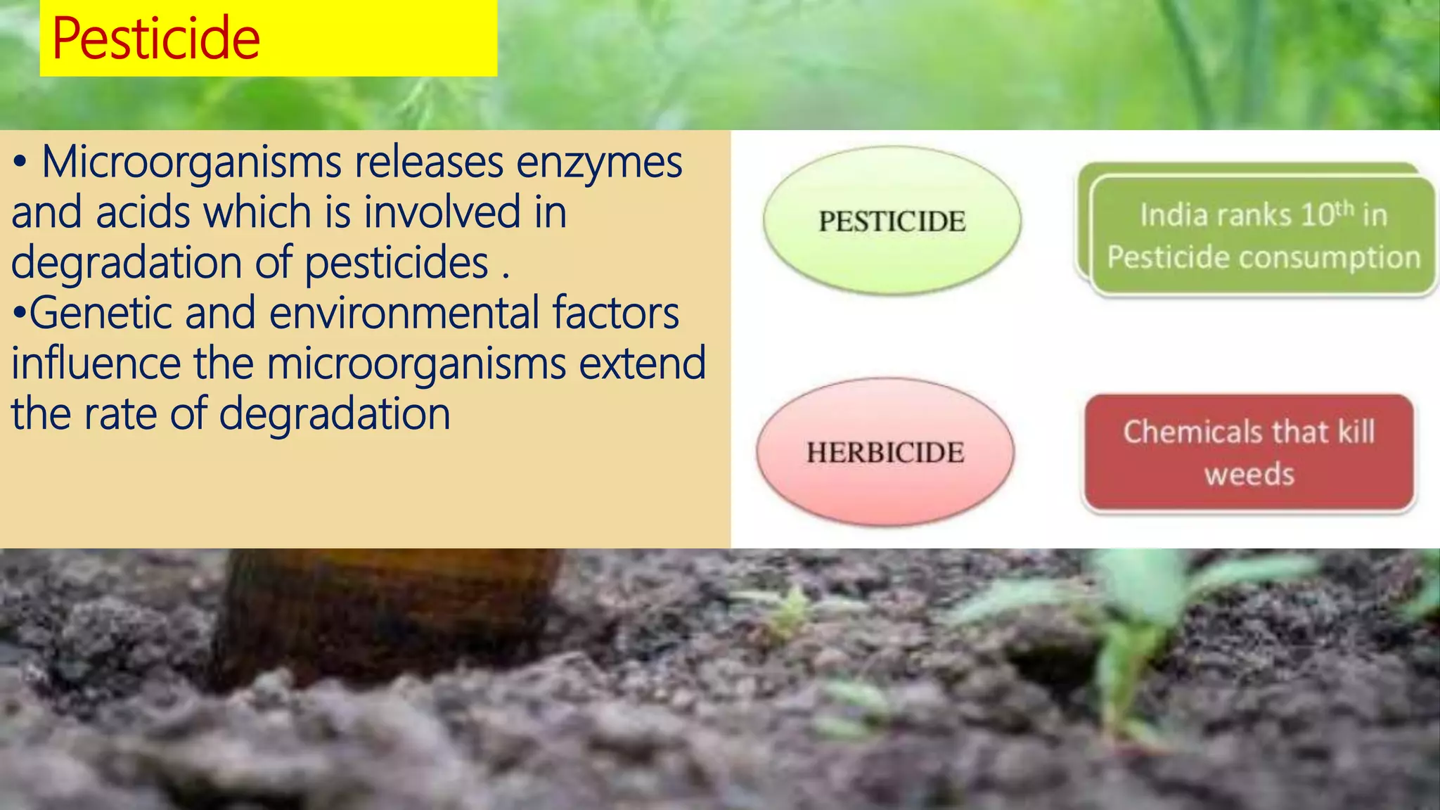Microbial degradation of pesticides | PPTX