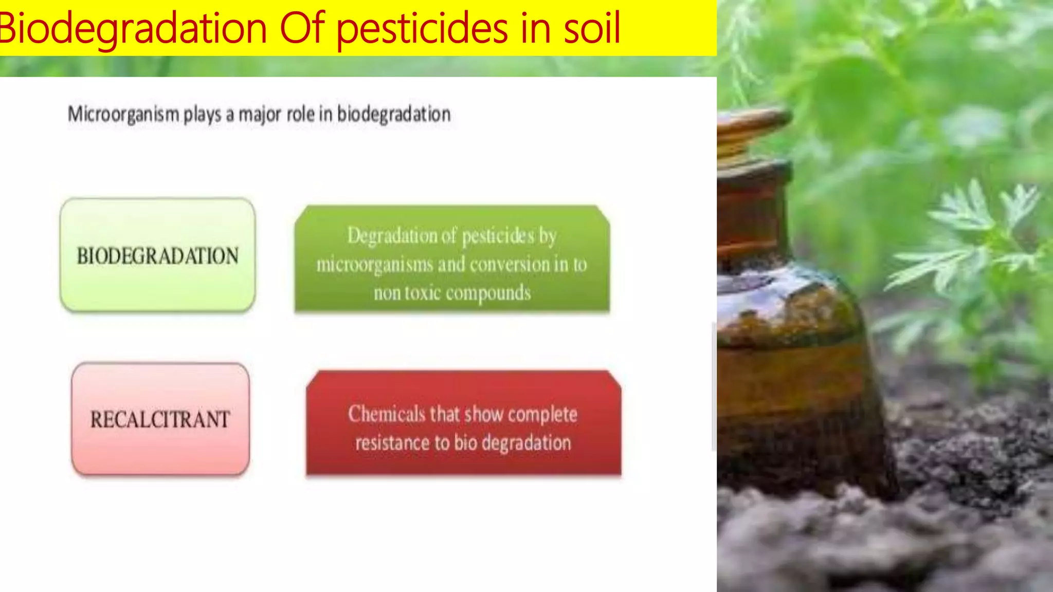 Microbial degradation of pesticides | PPTX
