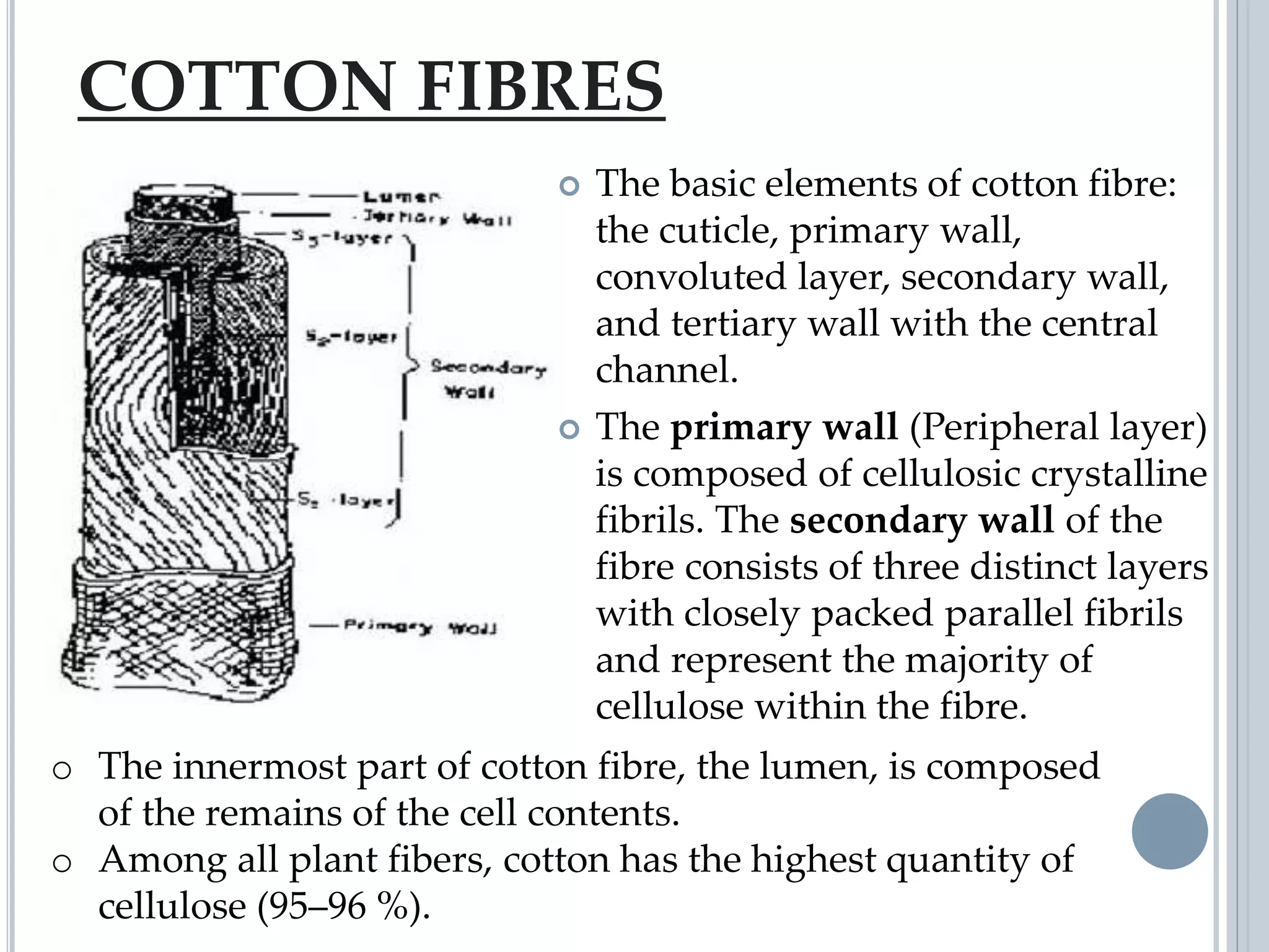 Microbial deterioration of textiles and paper | PPTX