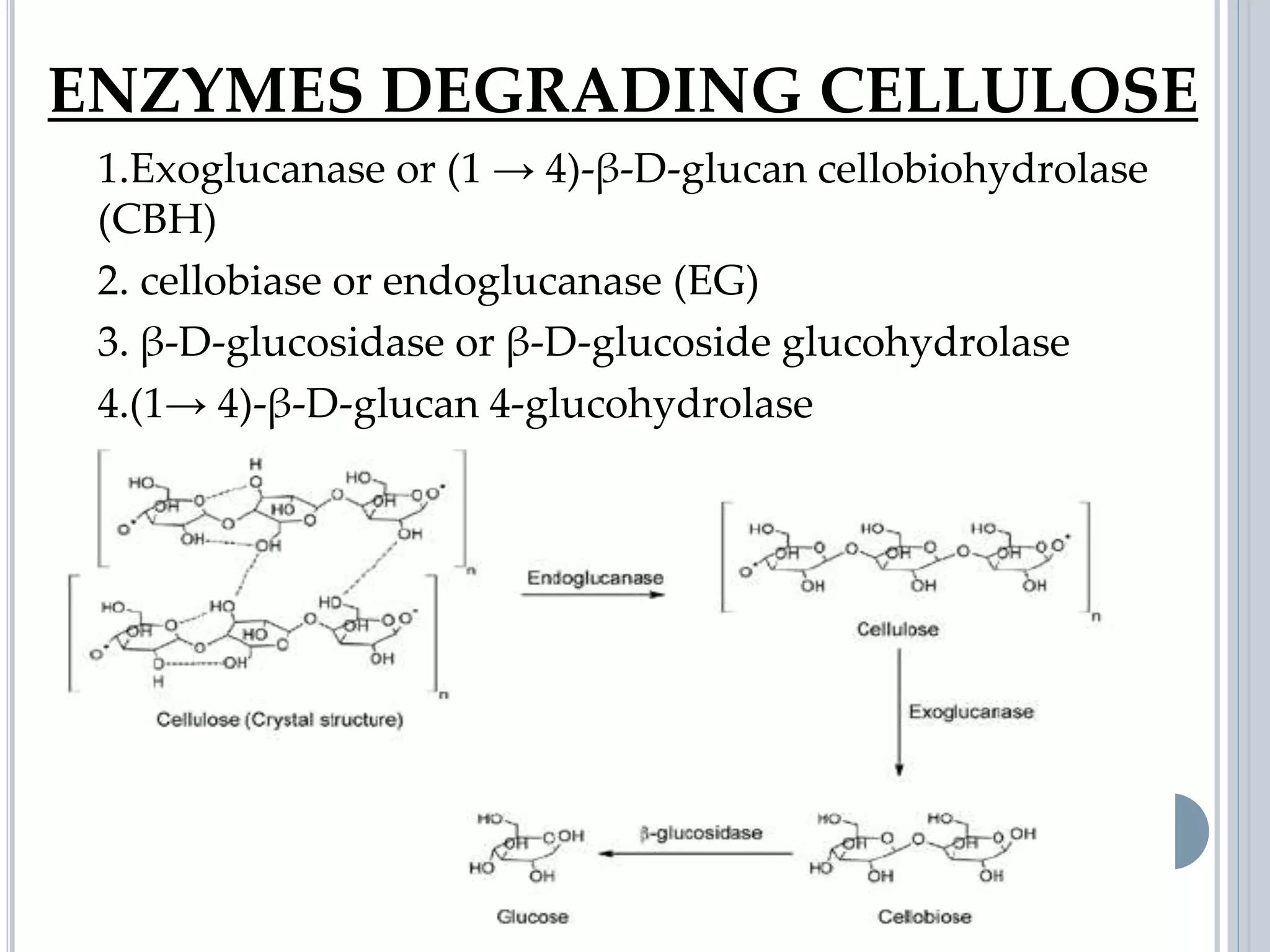 Microbial deterioration of textiles and paper | PPTX