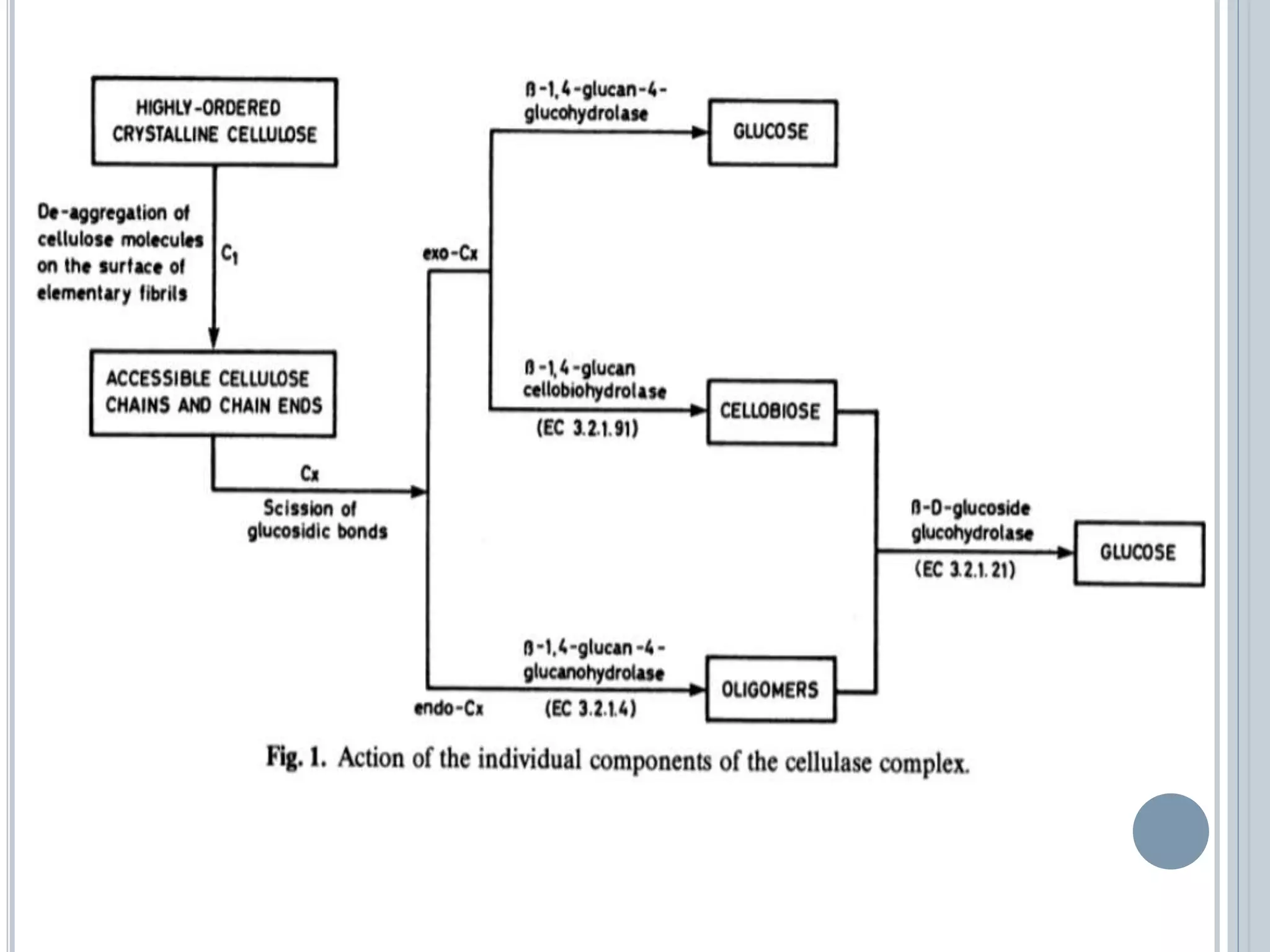 Microbial deterioration of textiles and paper | PPTX