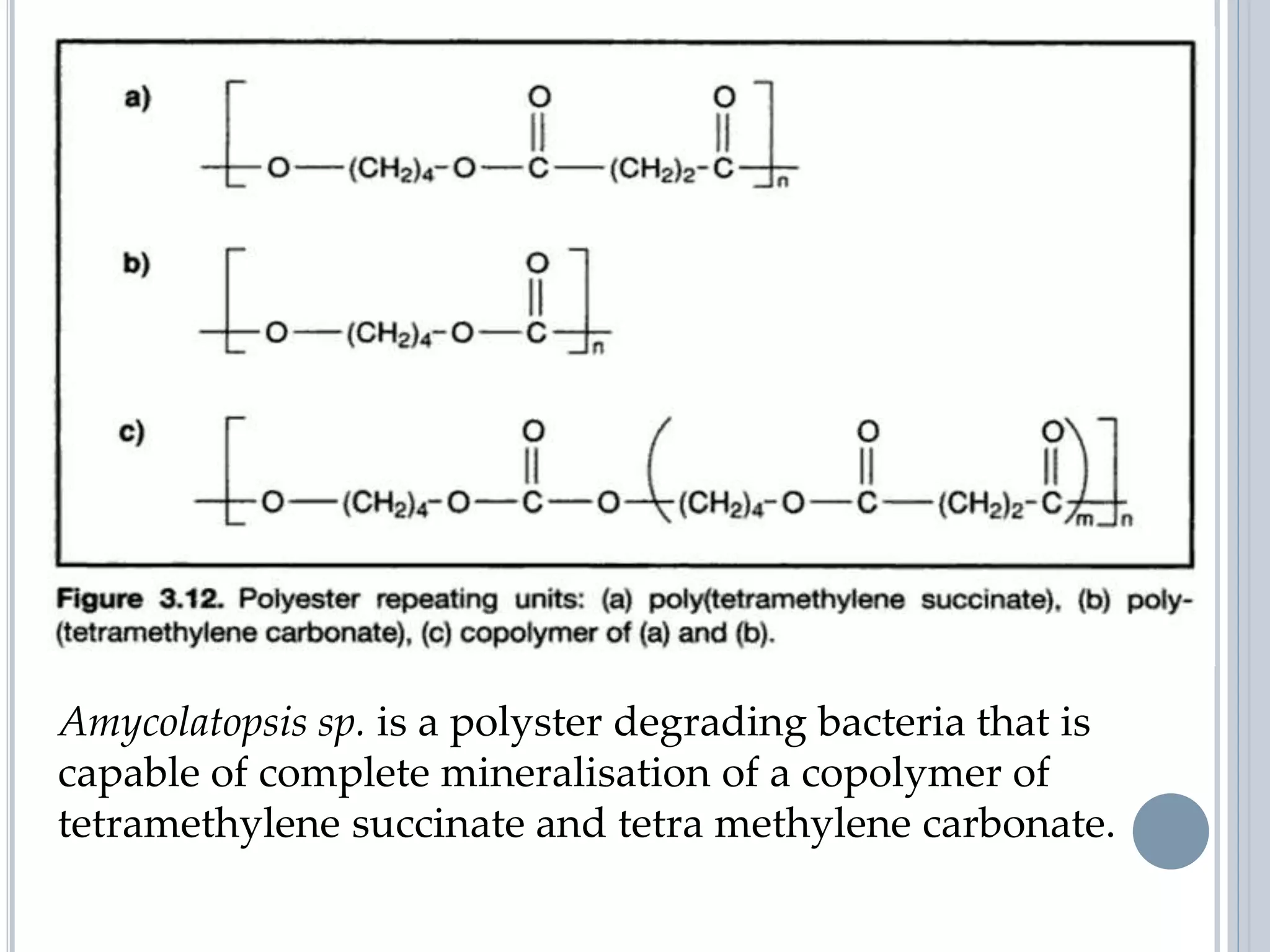 Microbial deterioration of textiles and paper | PPTX