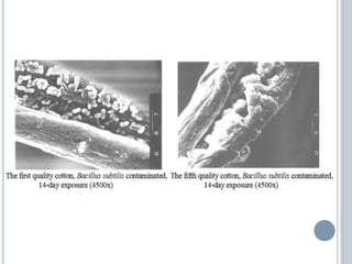 Microbial deterioration of textiles and paper | PPTX