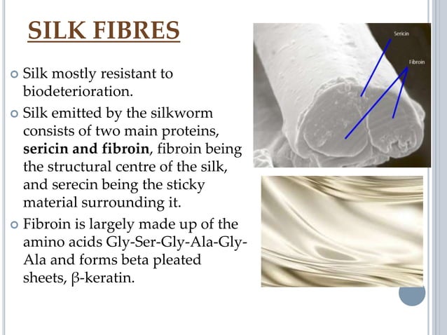 Microbial deterioration of textiles and paper | PPTX
