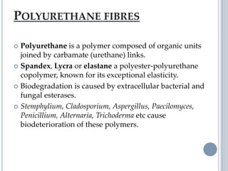 Microbial deterioration of textiles and paper | PPTX