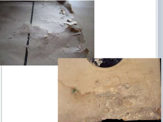 Microbial deterioration of textiles and paper | PPTX