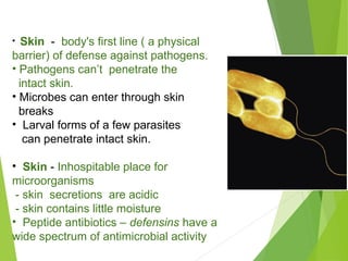 Microbial disease of the skin and eyes (1).ppt