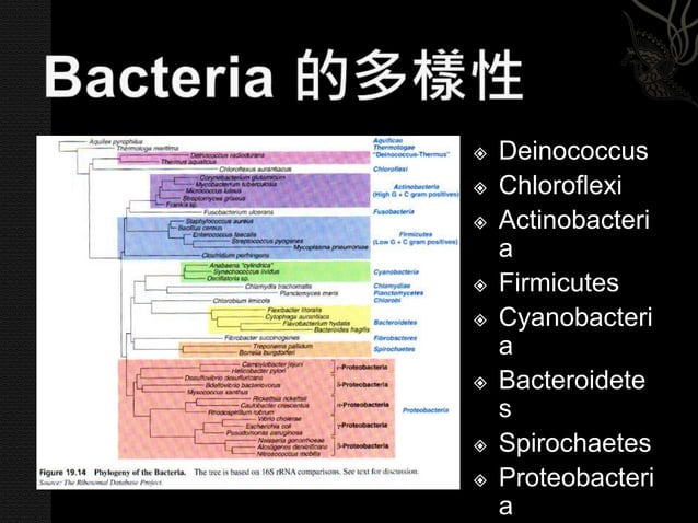 Microbial diversity and ecology: Microbial evolution | PPTX