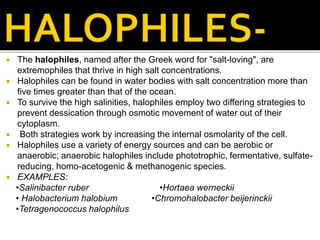 Microbial diversity in extreme enviornments | PPT