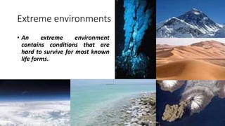 Microbial diversity in extreme environments | PPTX