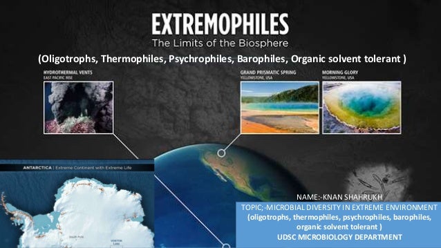 Extremophiles Extreme Organisms