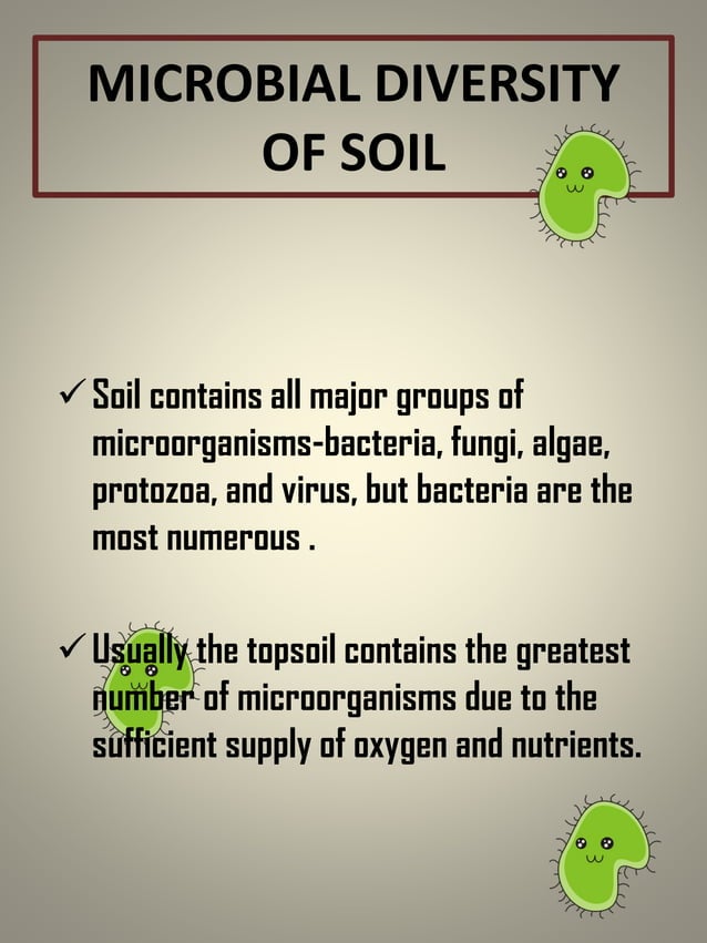 Microbial diversity of soil | PDF | Gardening | Home & Garden