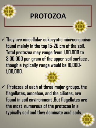 Microbial diversity of soil | PDF