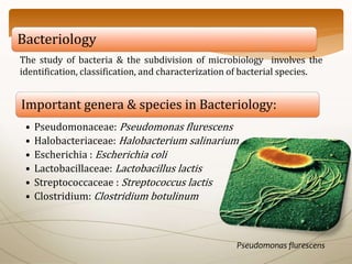Microbial diversity & redundancy | PPTX