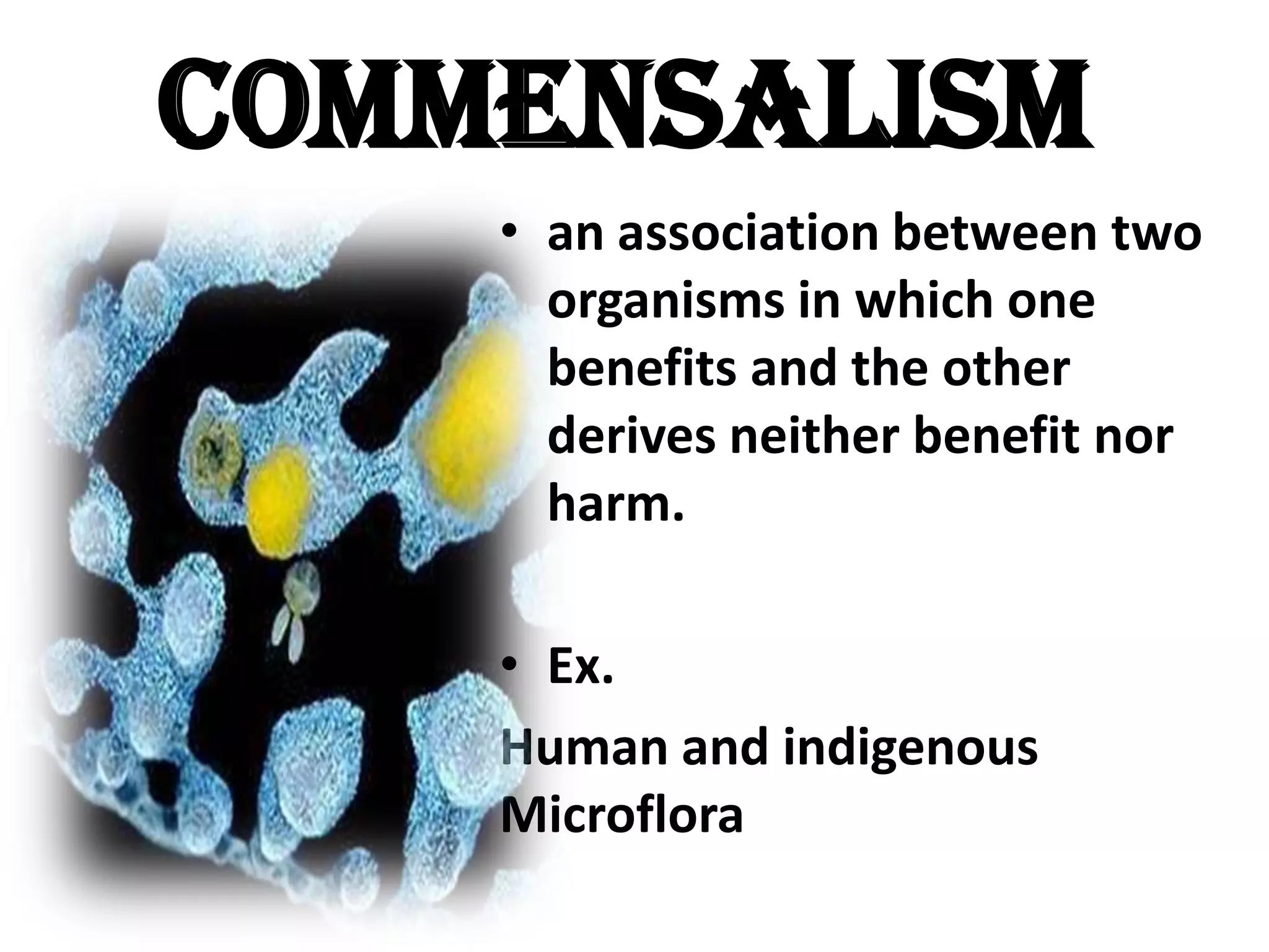 Microbiology: Microbial Ecology | PPTX