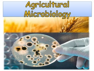 Microbiology: Microbial Ecology | PPT