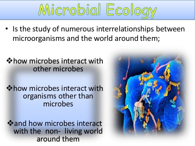 Microbiology: Microbial Ecology