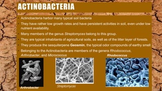 Microbial Ecology of Soil | PPTX