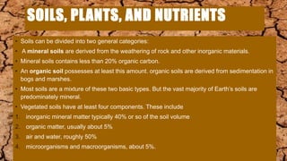 Microbial Ecology of Soil | PPTX