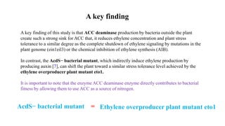 micro organism and associated plants | PPT