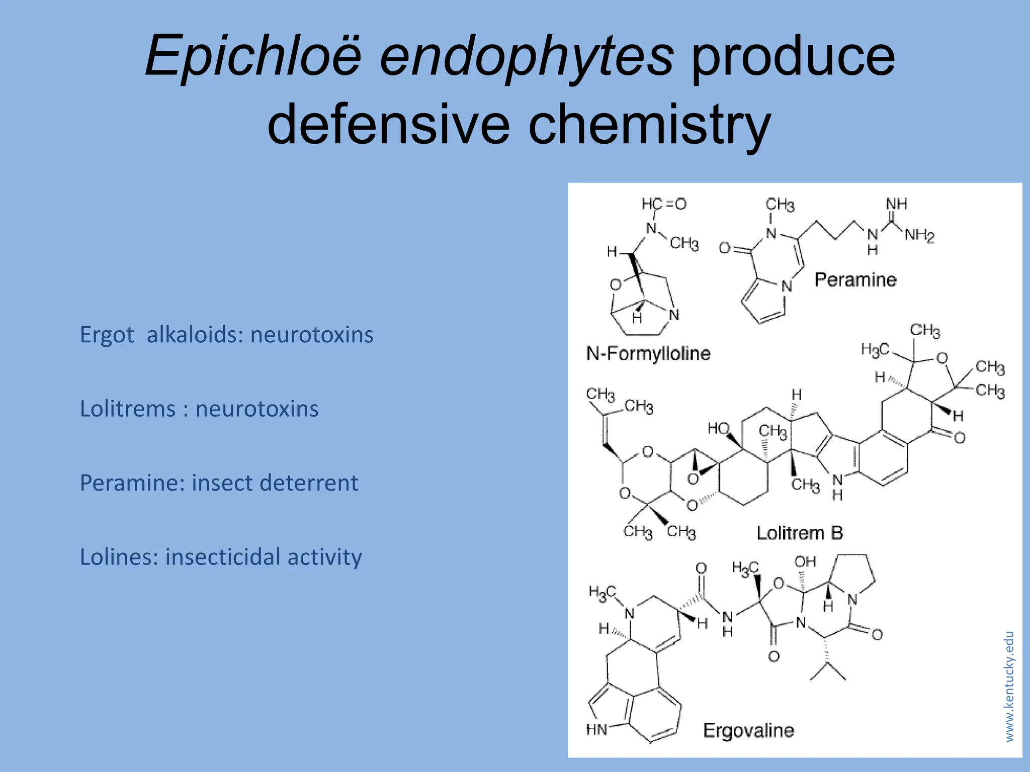 MICROBIAL ENDOPHYTES: DIVERSITY, FUNCTIONS, AND HOST-ENDOPHYTE ...