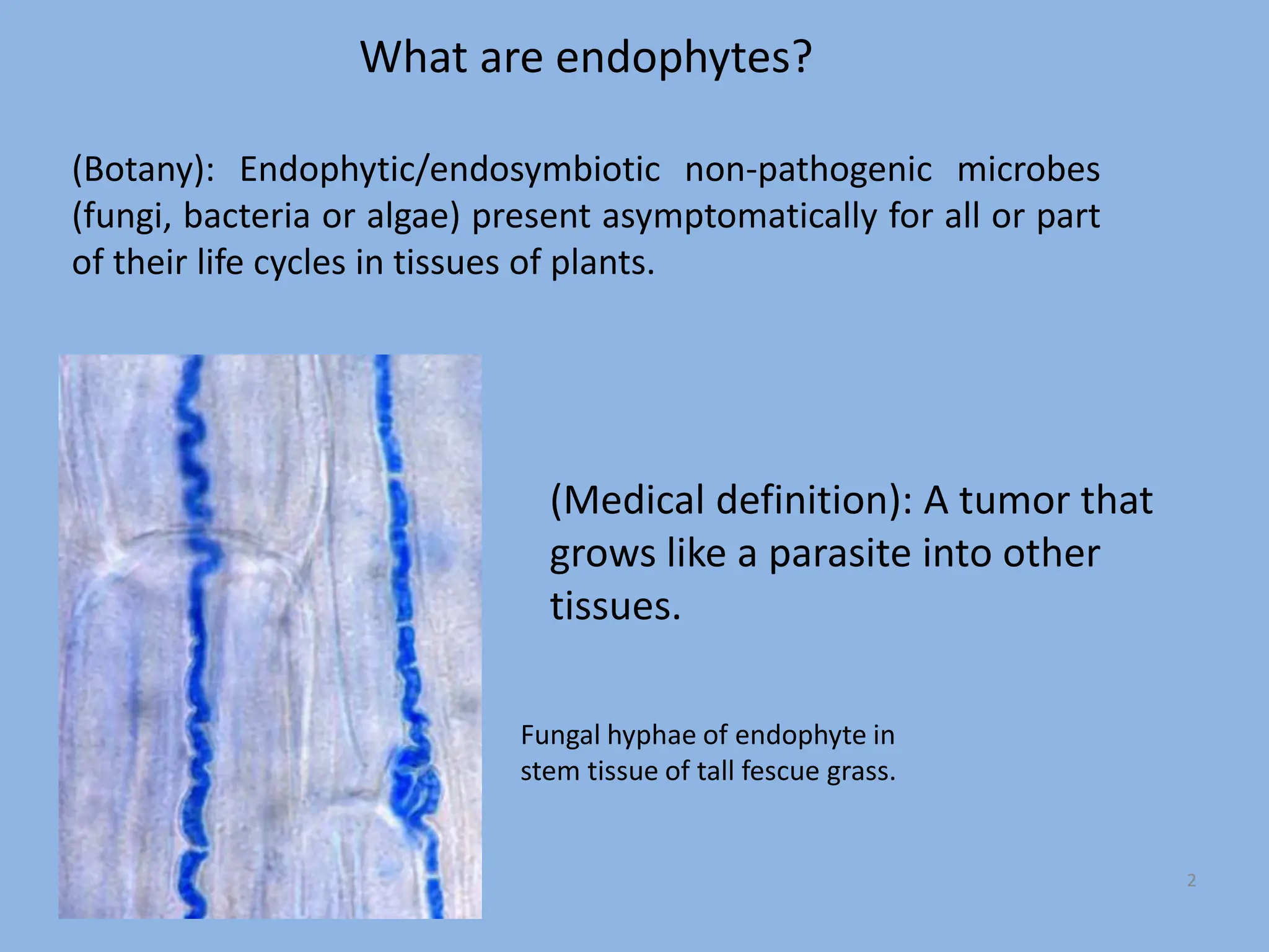MICROBIAL ENDOPHYTES: DIVERSITY, FUNCTIONS, AND HOST-ENDOPHYTE ...