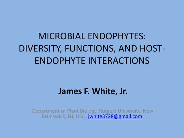 MICROBIAL ENDOPHYTES: DIVERSITY, FUNCTIONS, AND HOST-ENDOPHYTE ...
