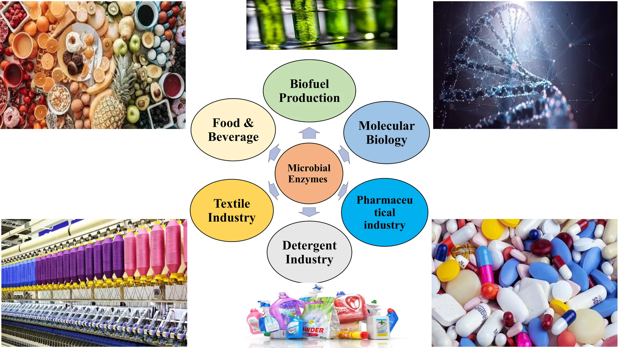Microbial enzyme application and uses.pptx