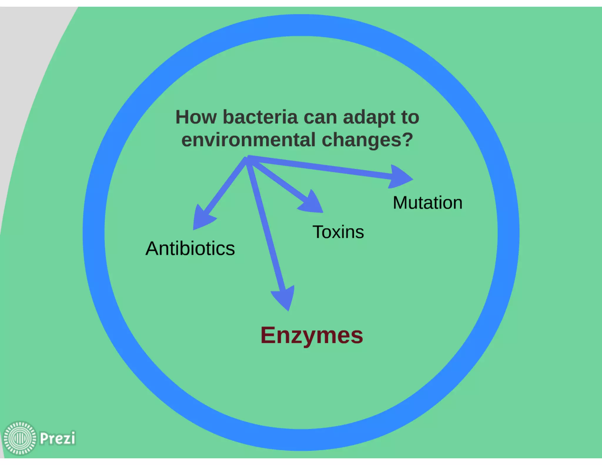 Microbial enzymes | PDF