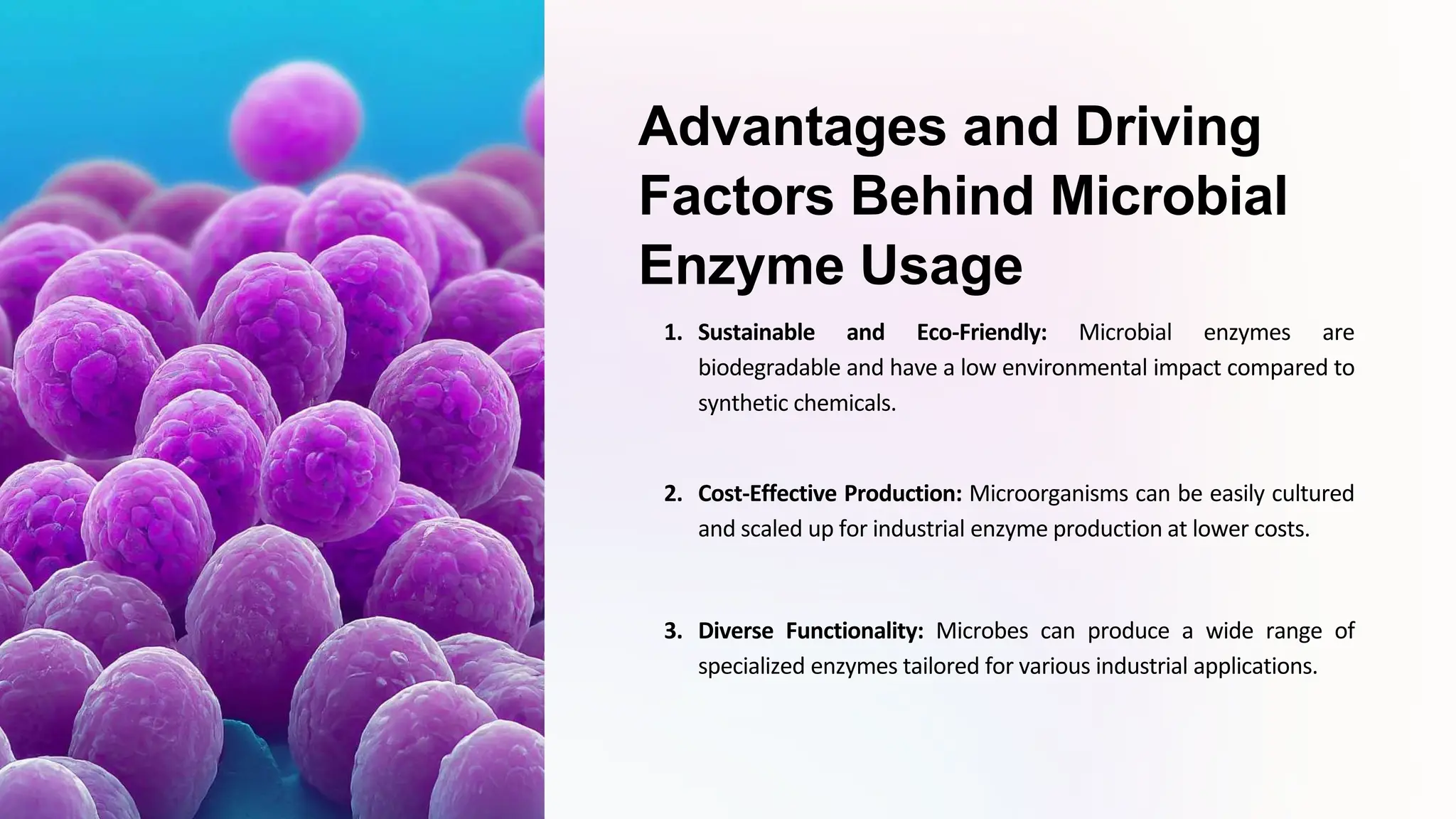Microbial Enzymes in industrial biotech | PPTX