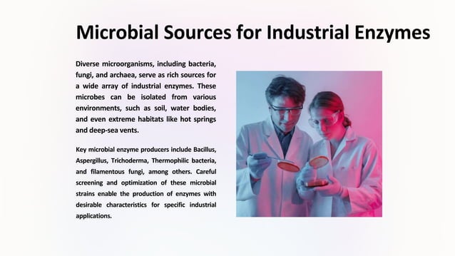 Microbial Enzymes in industrial biotech | PPT