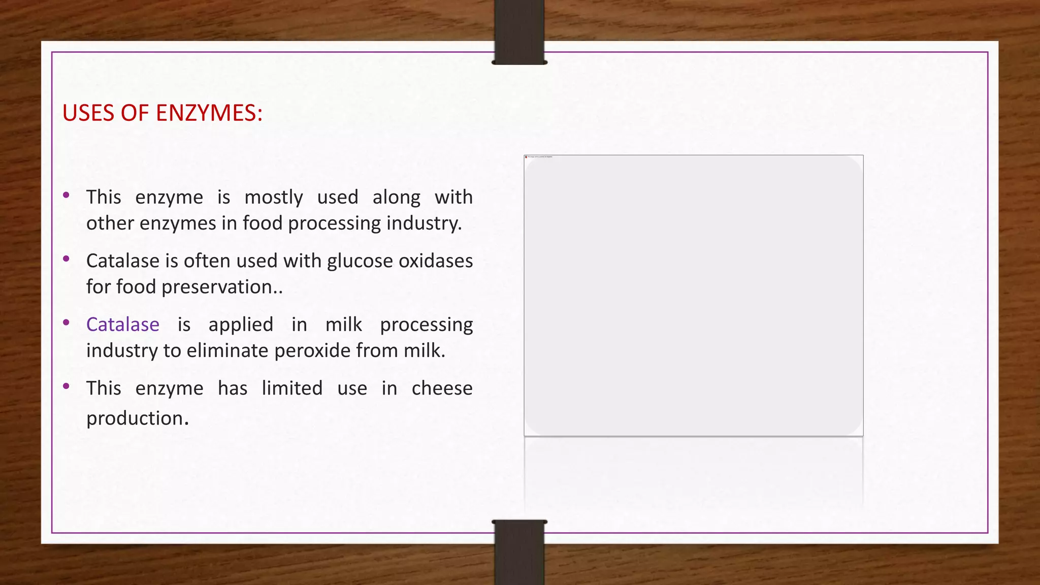 Microbial enzymes in food industries. | PPTX