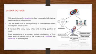 Microbial enzymes in food industries. | PPTX