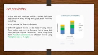 Microbial enzymes in food industries. | PPTX