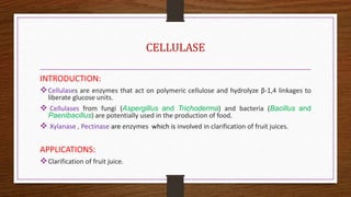 Microbial enzymes in food industries. | PPTX