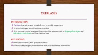 Microbial enzymes in food industries. | PPTX
